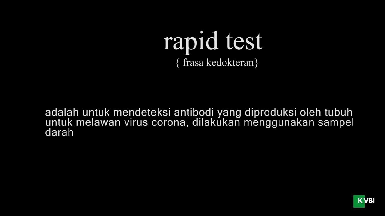 Rapid Test YouTube rapid-test-youtube