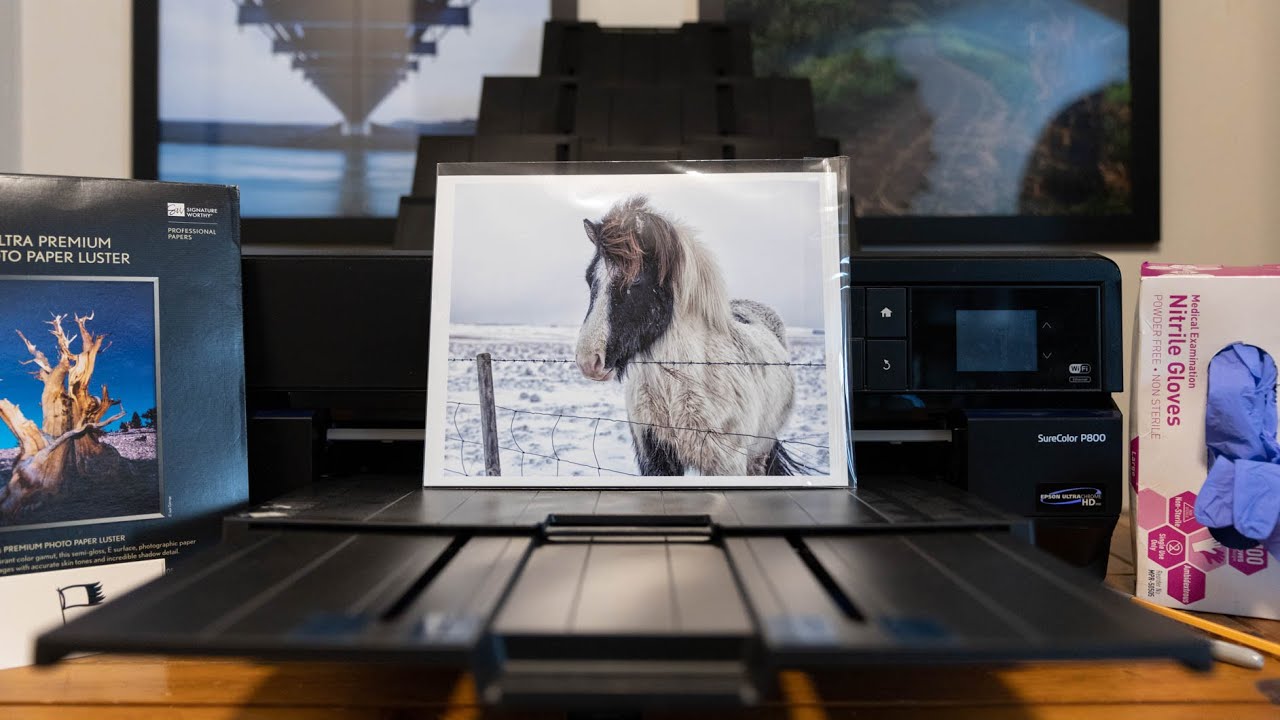 How to Print Better Photos | 10 Tips on printing at Home - YouTube
