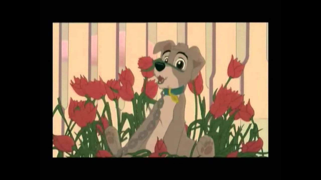 A World Without Fences - YouTube