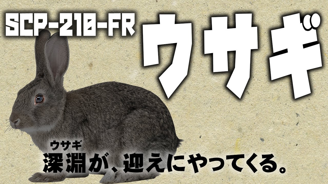 【ゆっくりSCP紹介】SCP-210-FR【ウサギ】 - YouTube
