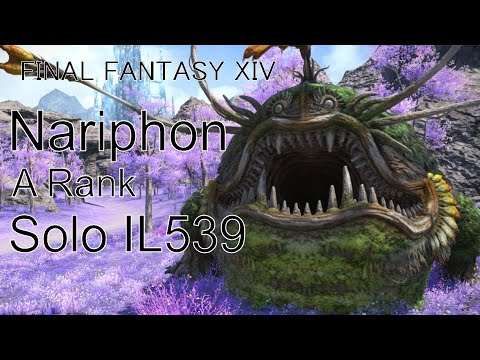 FINAL FANTASY XIV : Nariphon A Rank Solo IL539 (ナリーポン ソロ討伐) - YouTube