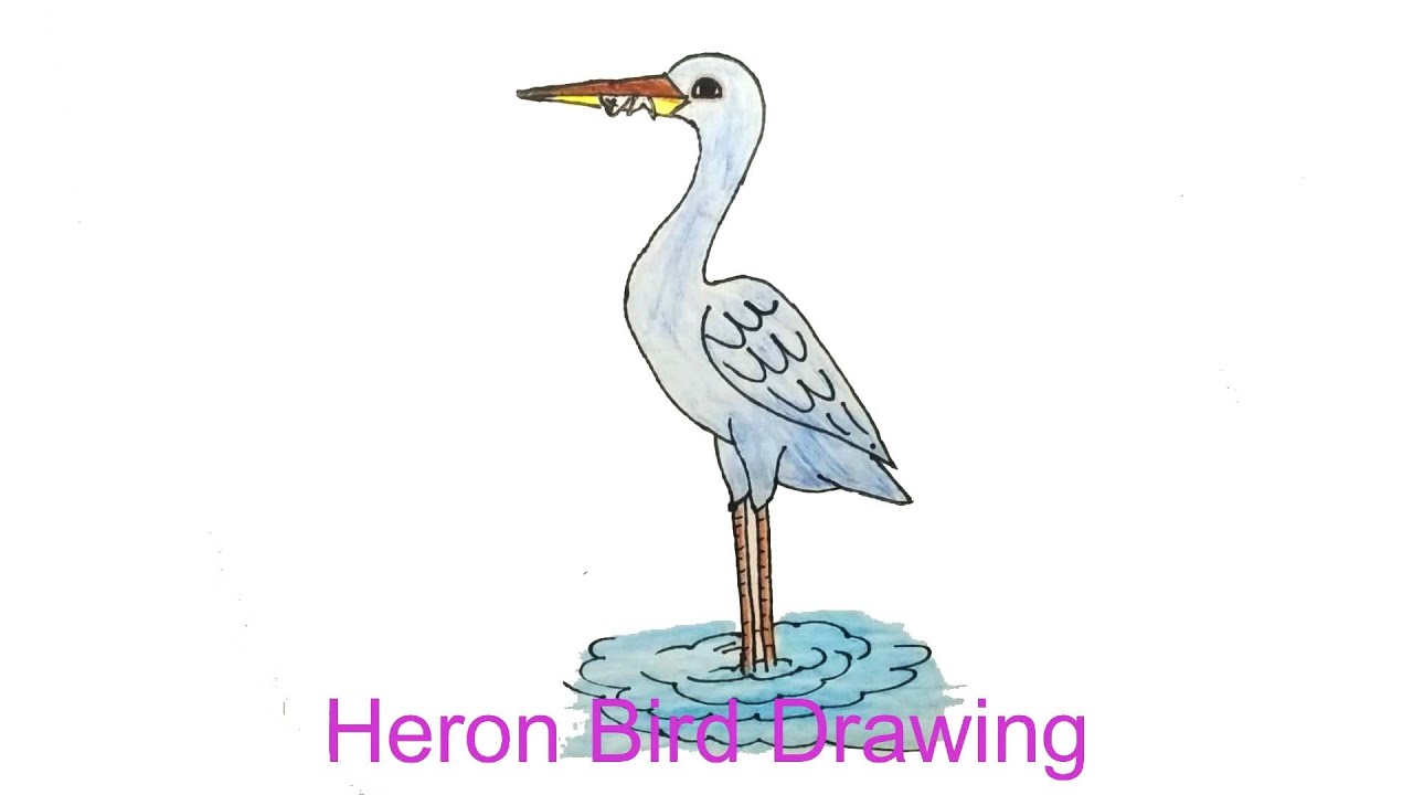 Easy Drawing Heron Bird | How to Draw Heron Bird Step by Step for ...