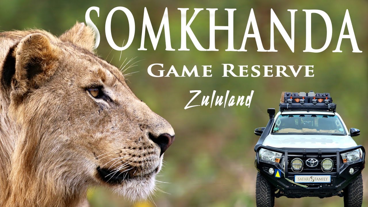 Zululand's Somkhanda BIG 5 Game Reserve Explored! - YouTube
