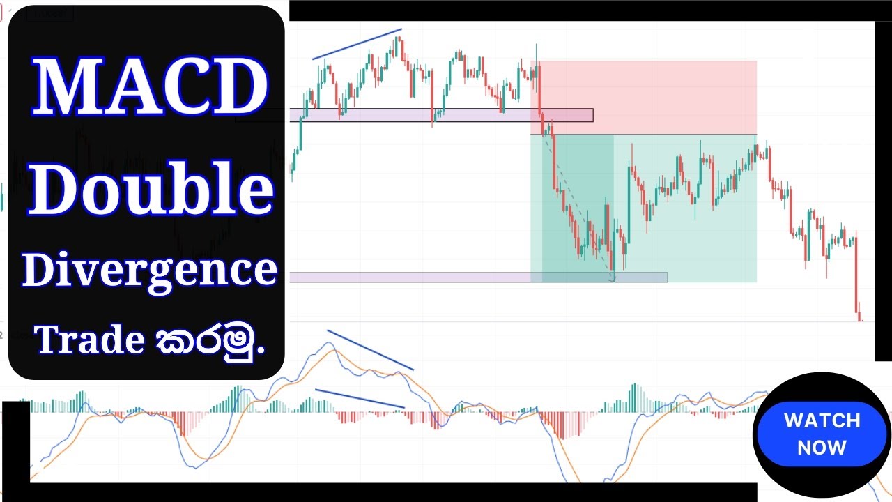 How to trade MACD double divergence Strategy ? Sinahala. - YouTube