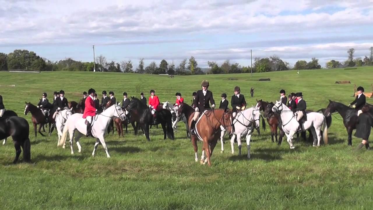 Field Hunter Championships 2014 Middleburg VA - YouTube