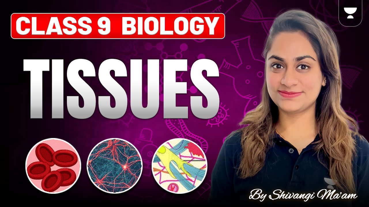 Tissues | Class 9 Biology | Complete Lesson by Shivangi Mam - YouTube