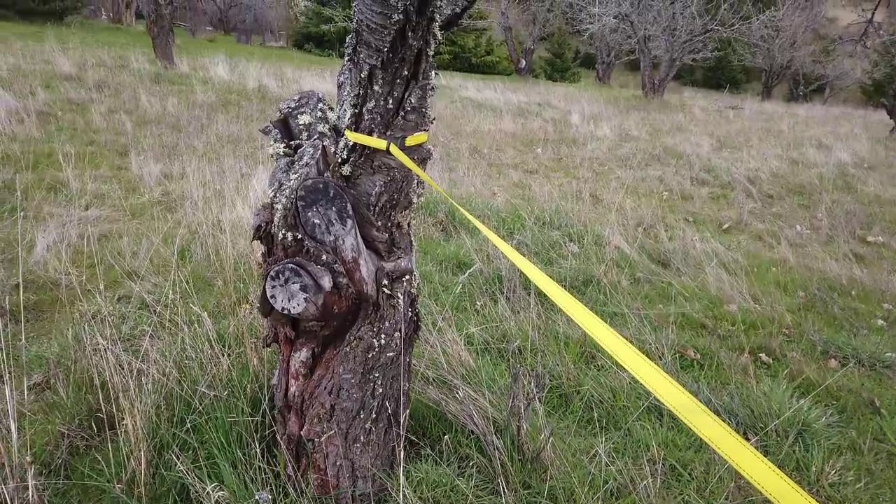 How to separate a fishing pole - YouTube