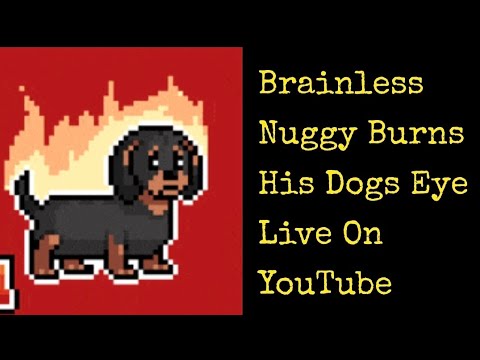 [[Nuggy Burns His Dogs Eye]] #PCryR - YouTube
