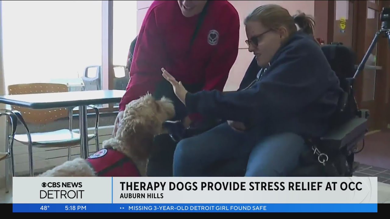 Therapy dogs provide stress relief for Oakland Community College ...