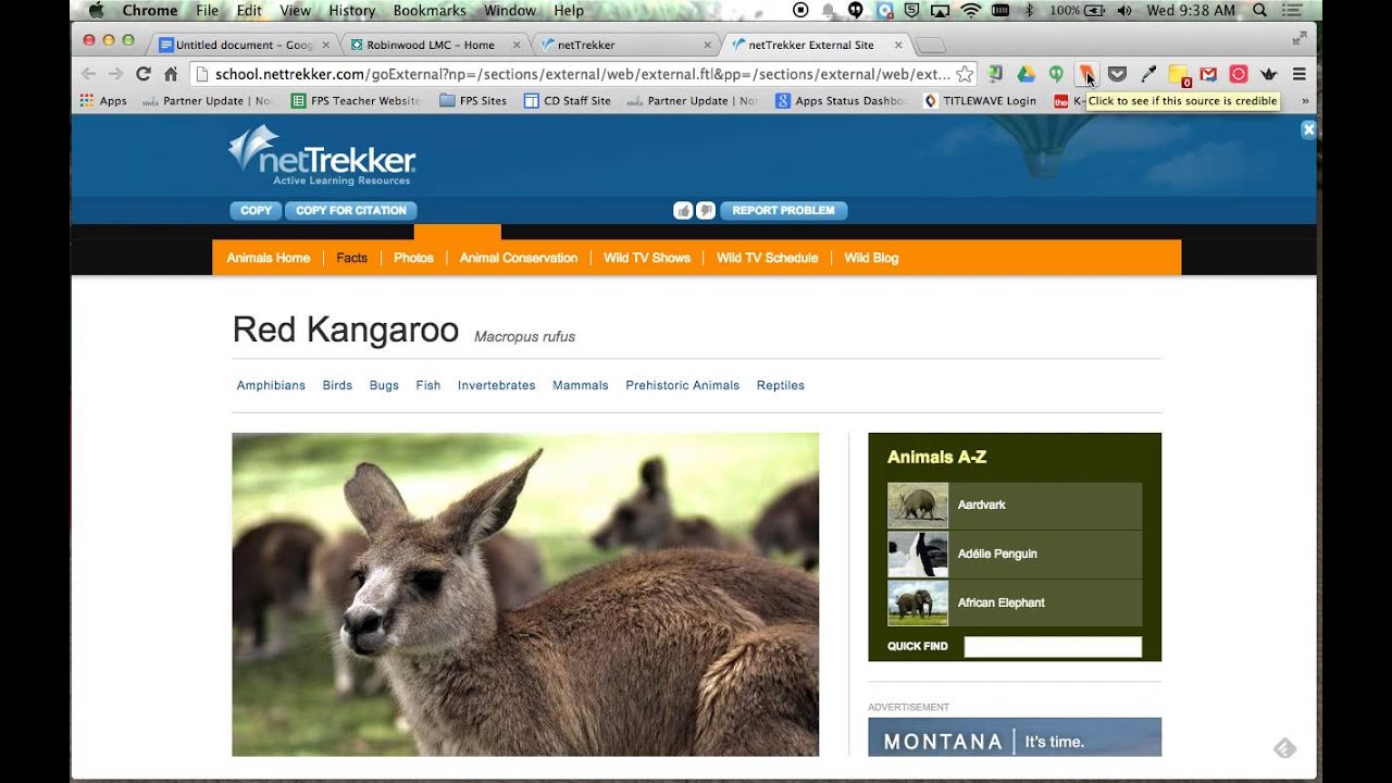 Nettrekker - YouTube