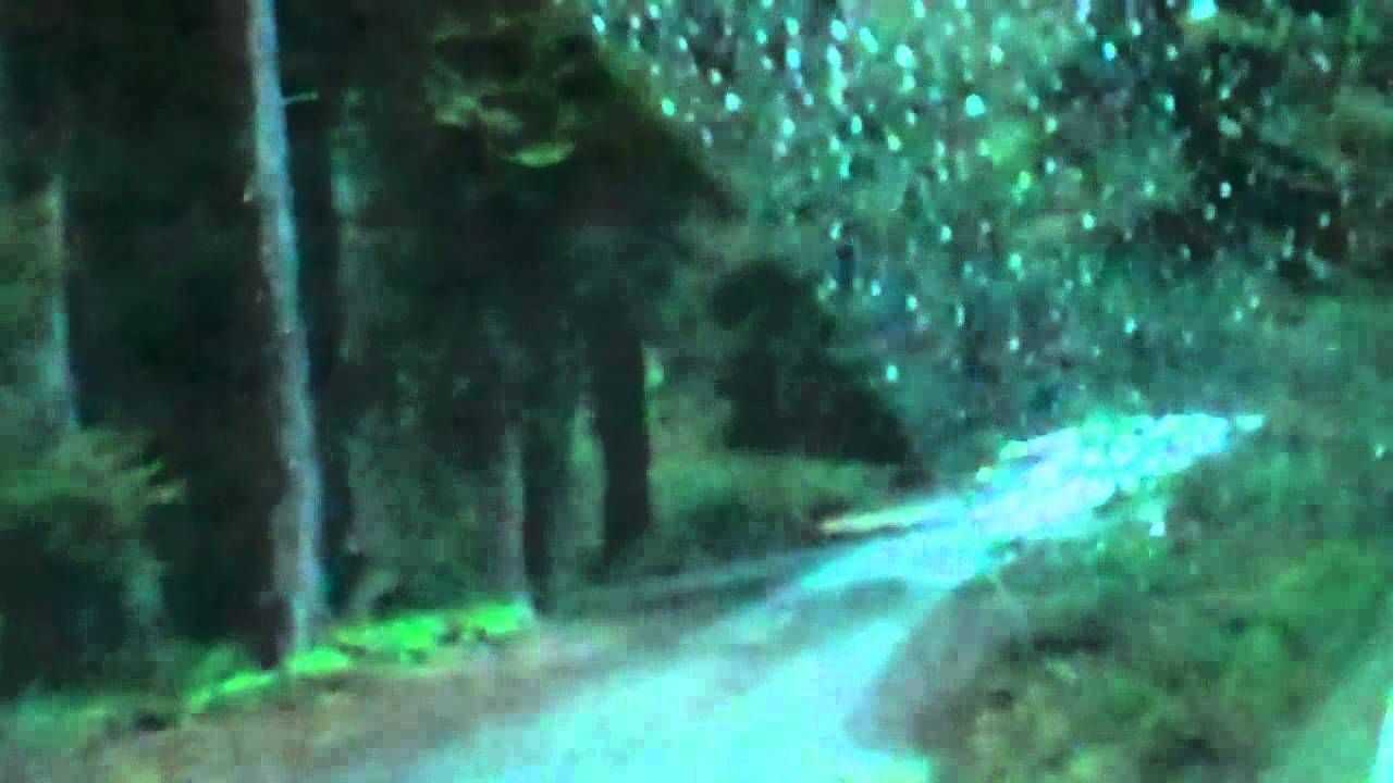 Twisp River Road, End of Road Campground, 5/29/2011 - YouTube