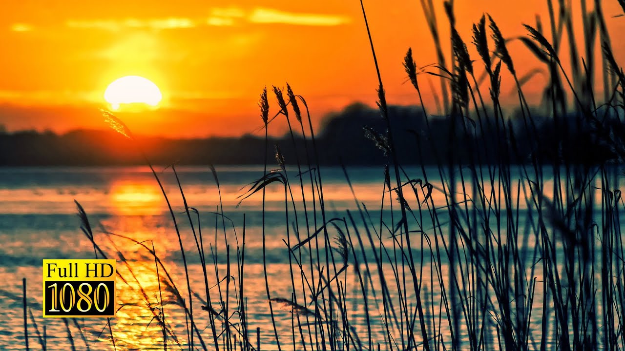 Calming Background Music for Relaxation and Sleeping - YouTube