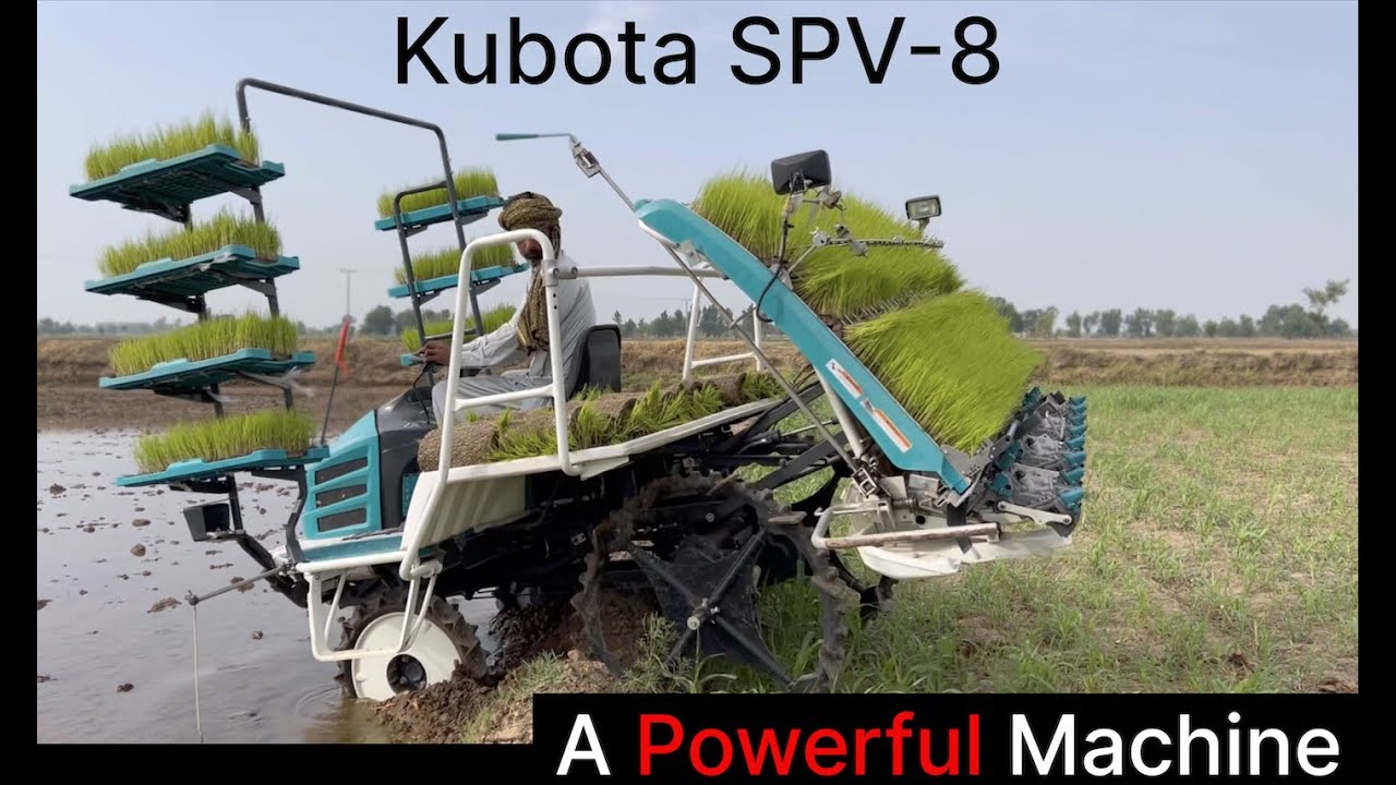 Kubota Rice Transplanter | A Powerful Machine | SPV-8 | Munji - YouTube