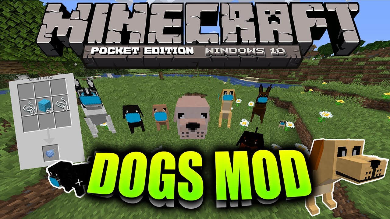 DOGS MOD!!! MAS PERROS Y CUBREBOCAS XD!! - MINECRAFT PE/W10 - YouTube