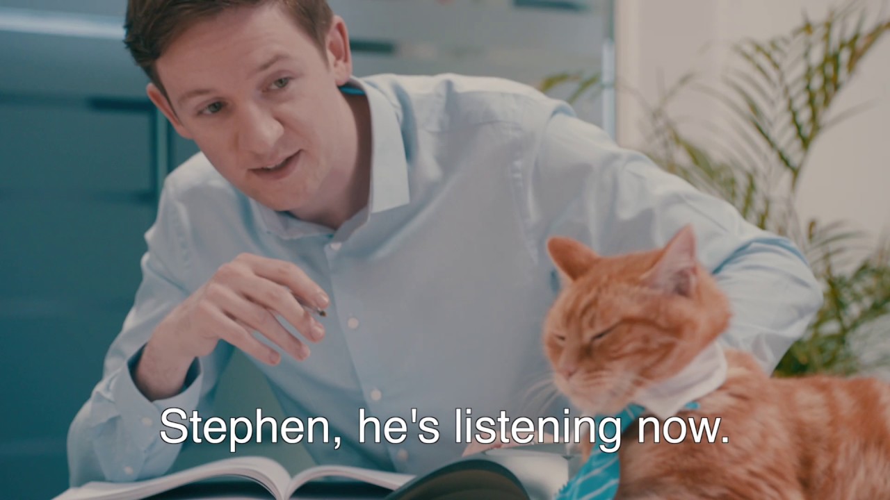 Herding Cats; the conference call - YouTube