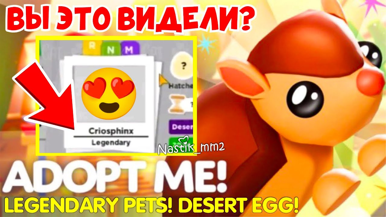 ВЫ ЭТО ВИДЕЛИ😱ХАКЕР СЛИЛ НОВЫХ ПИТОМЦЕВ😱КАКТУС И СФИНКС 🌵НОВОЕ