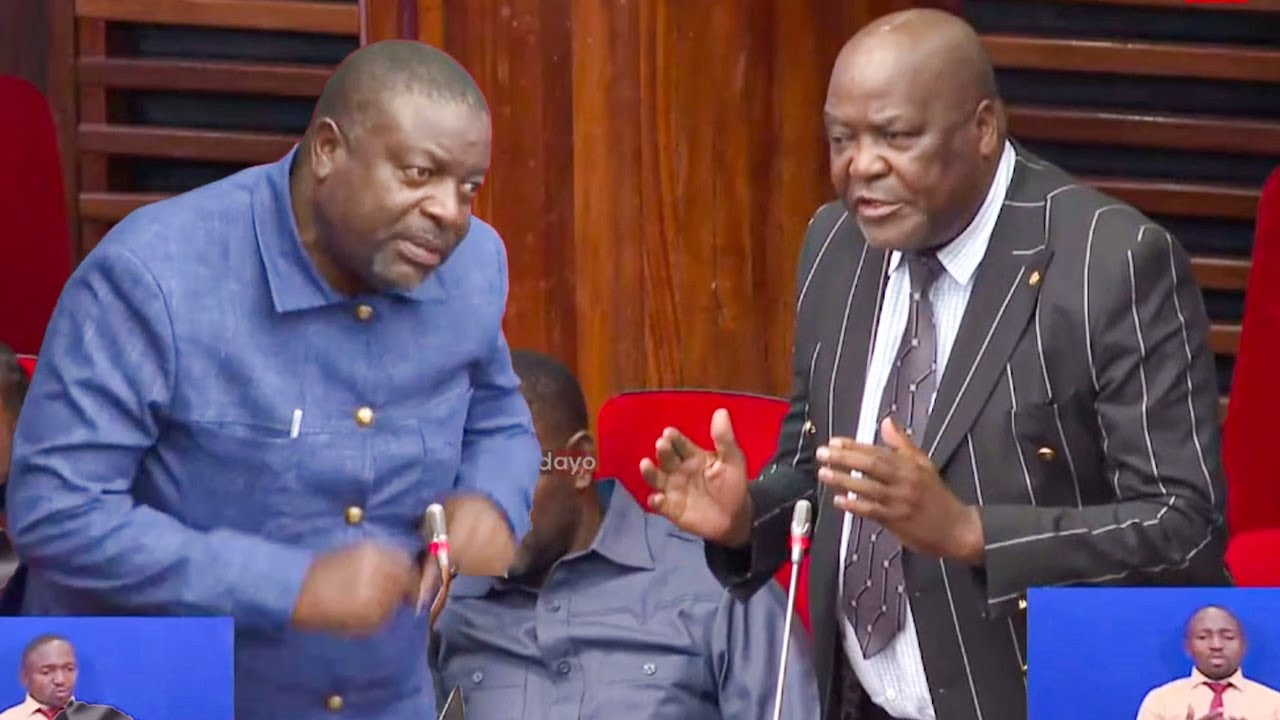 MBUNGE KISHIMBA ALIAMSHA TENA BUNGENI “HAYA MABRAABRAA HAKUNA MWANANCHI ...