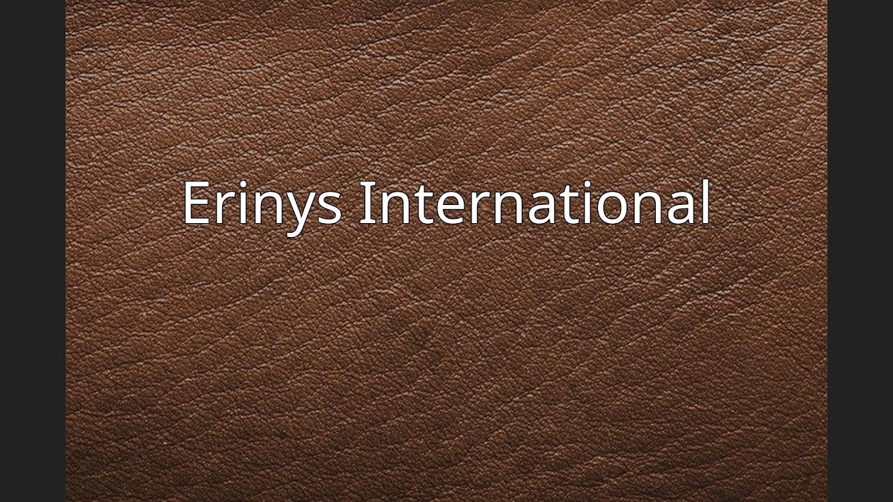 Erinys International - YouTube