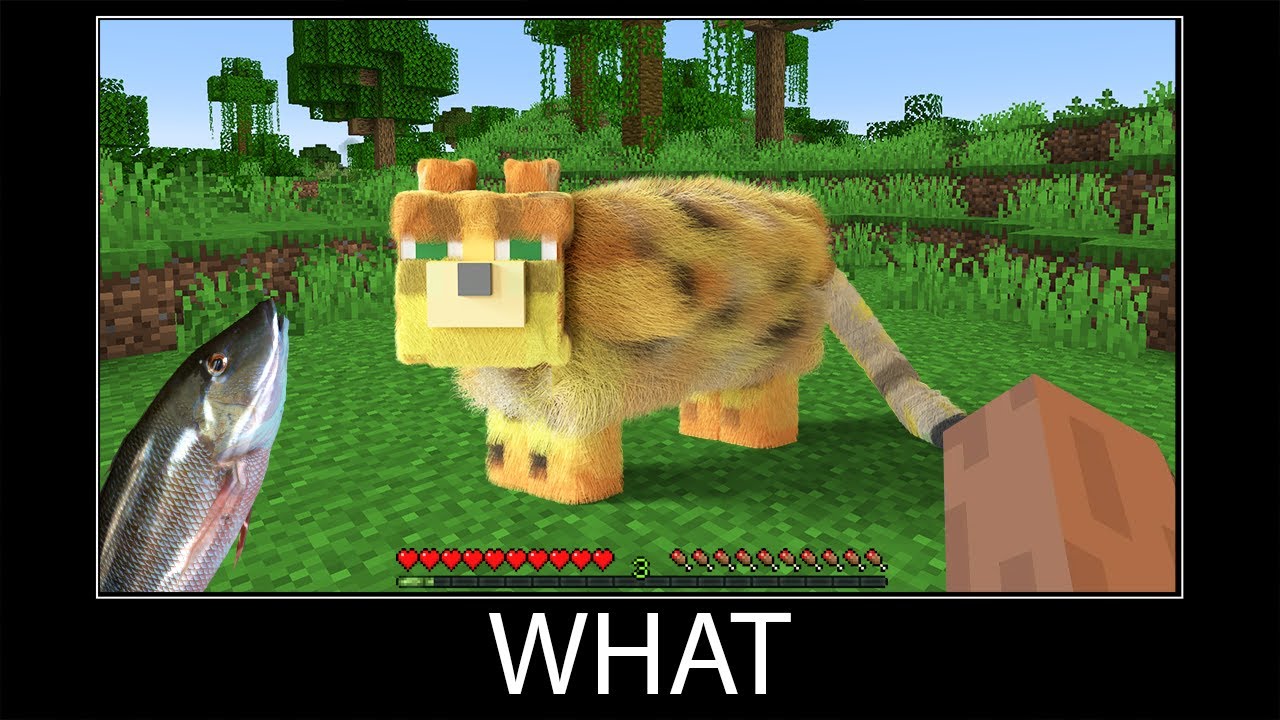 Minecraft wait what meme part 83 realistic minecraft Ocelot - YouTube