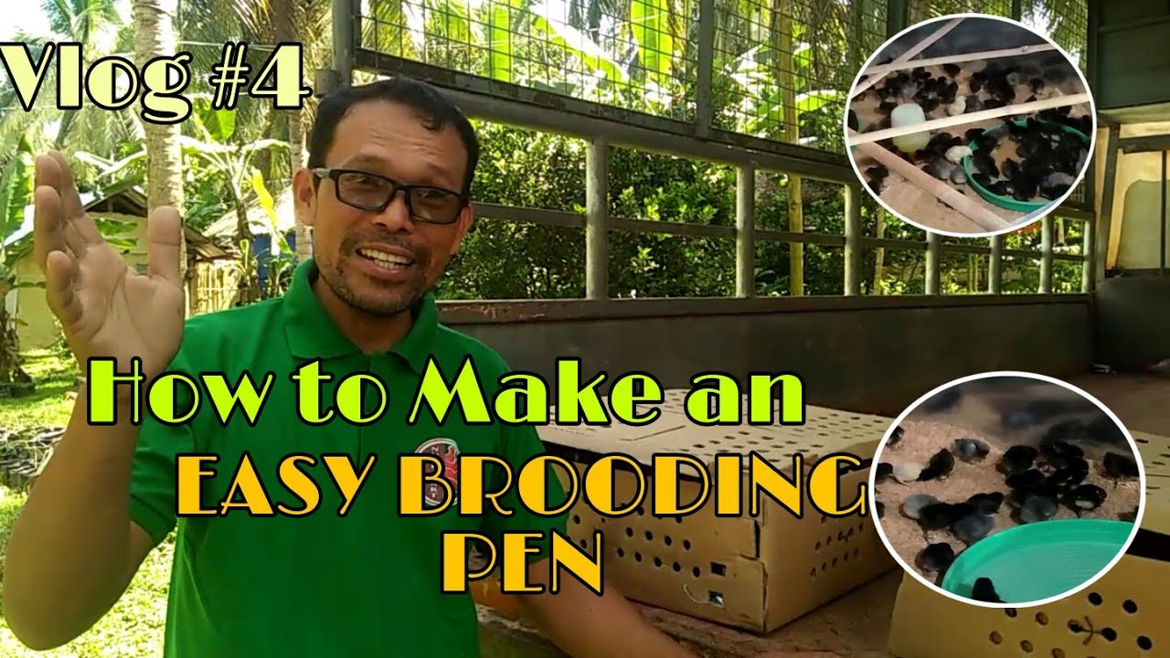 VLOG #4: How to Make an Easy Brooding Pen - YouTube