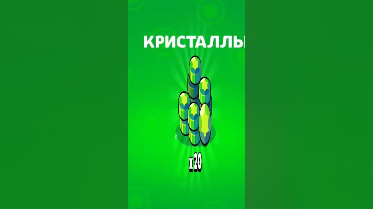 бродячий Леон - YouTube
