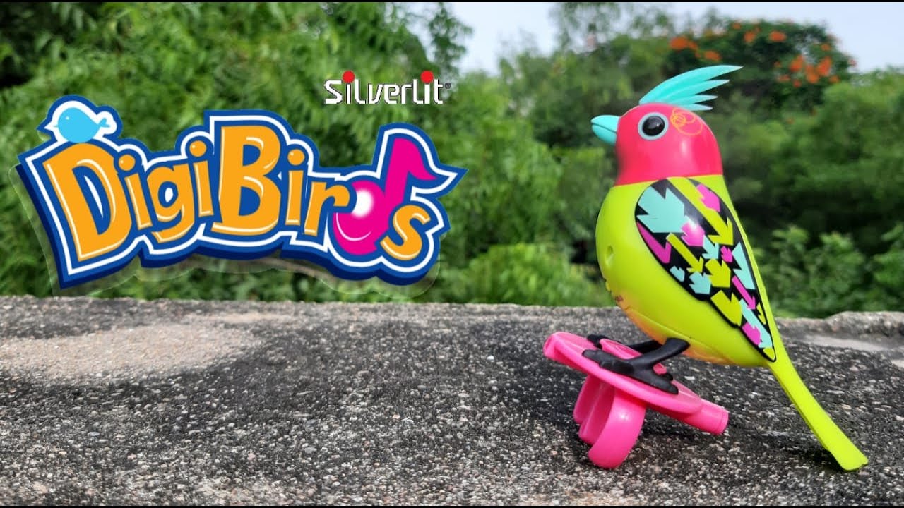Silverlit Digibirds Unboxing !! Toy For Pets - YouTube