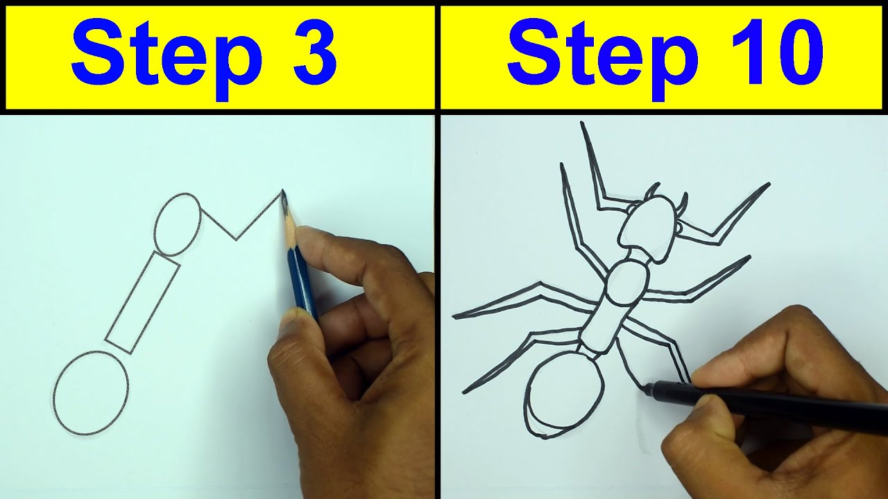 How to Draw an Ant with Pencil and Sketch Pen | Easy Line Drawing ...