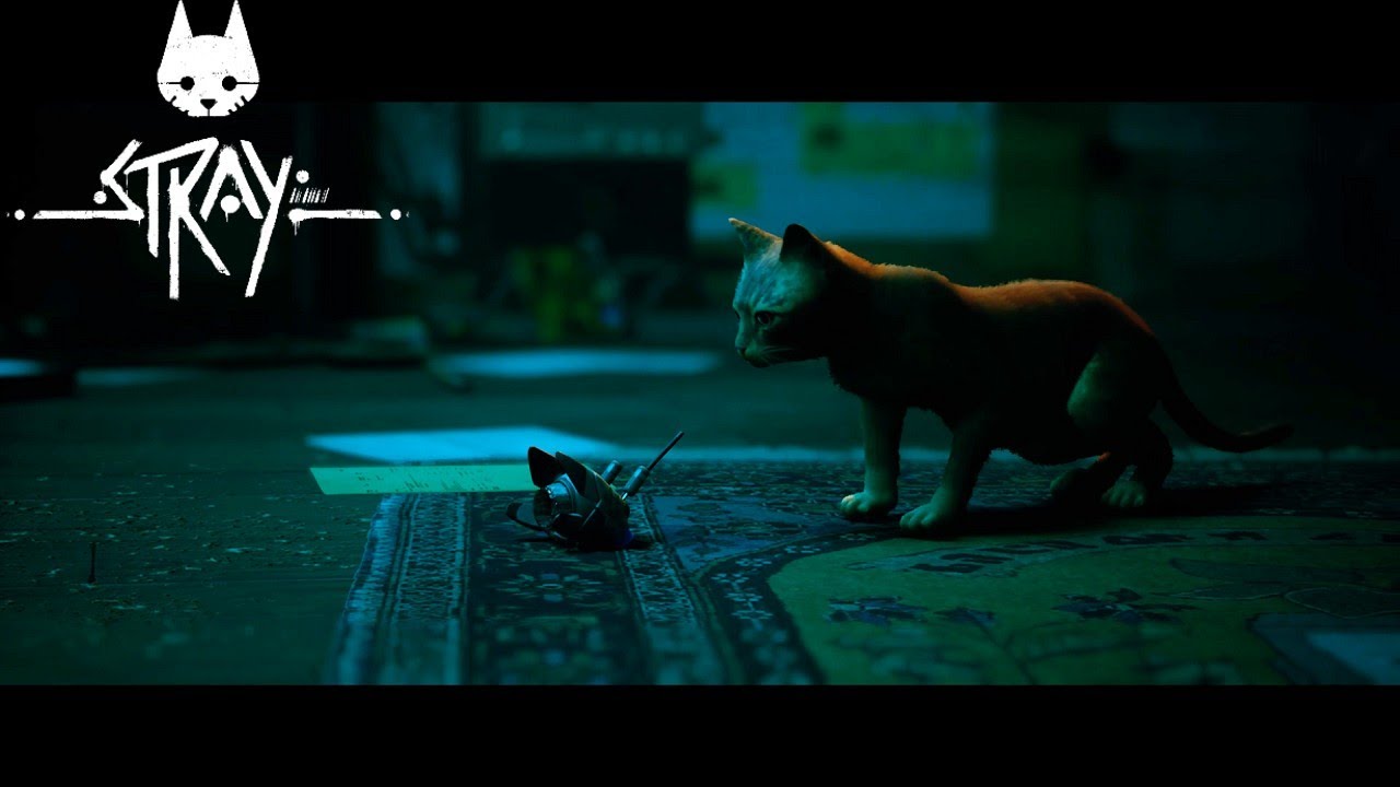 Stray Full Gameplay Chapter 3: The Flat - YouTube