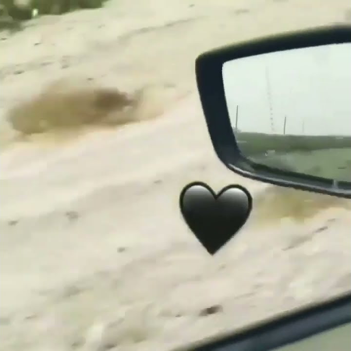 😭😭خدا نسیب گرگ بیابون هم نکنه توی ی روز دوتا شوتی دیگه هم توی مسیری ک