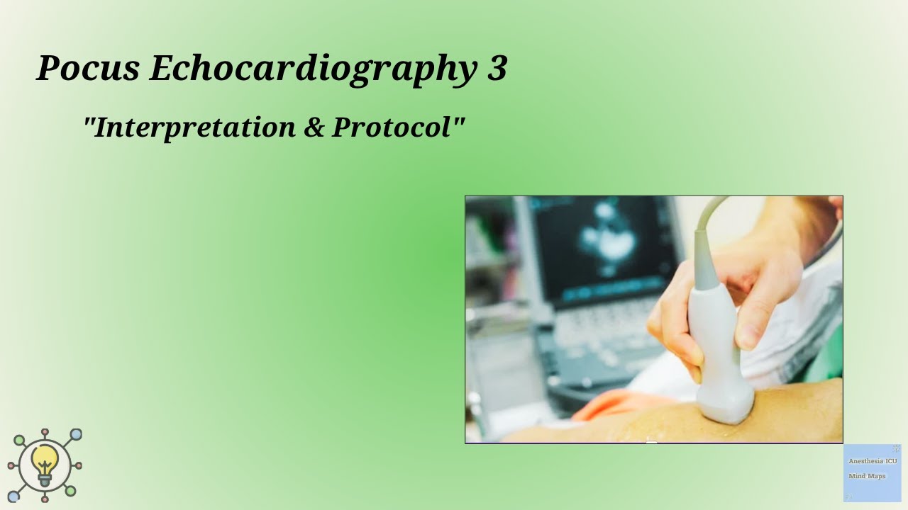 Pocus Echocardiography 3 "Interpretation & Protocol" - YouTube