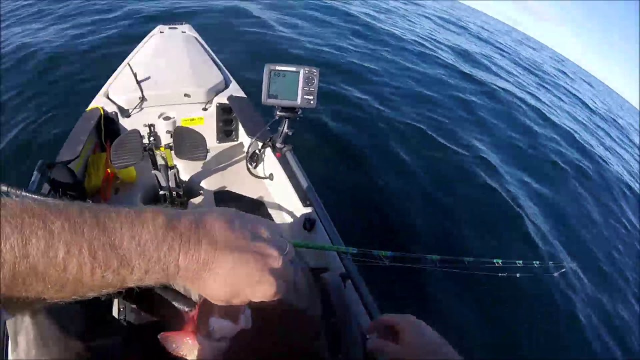 Goat wrangling in The Jewl - YouTube