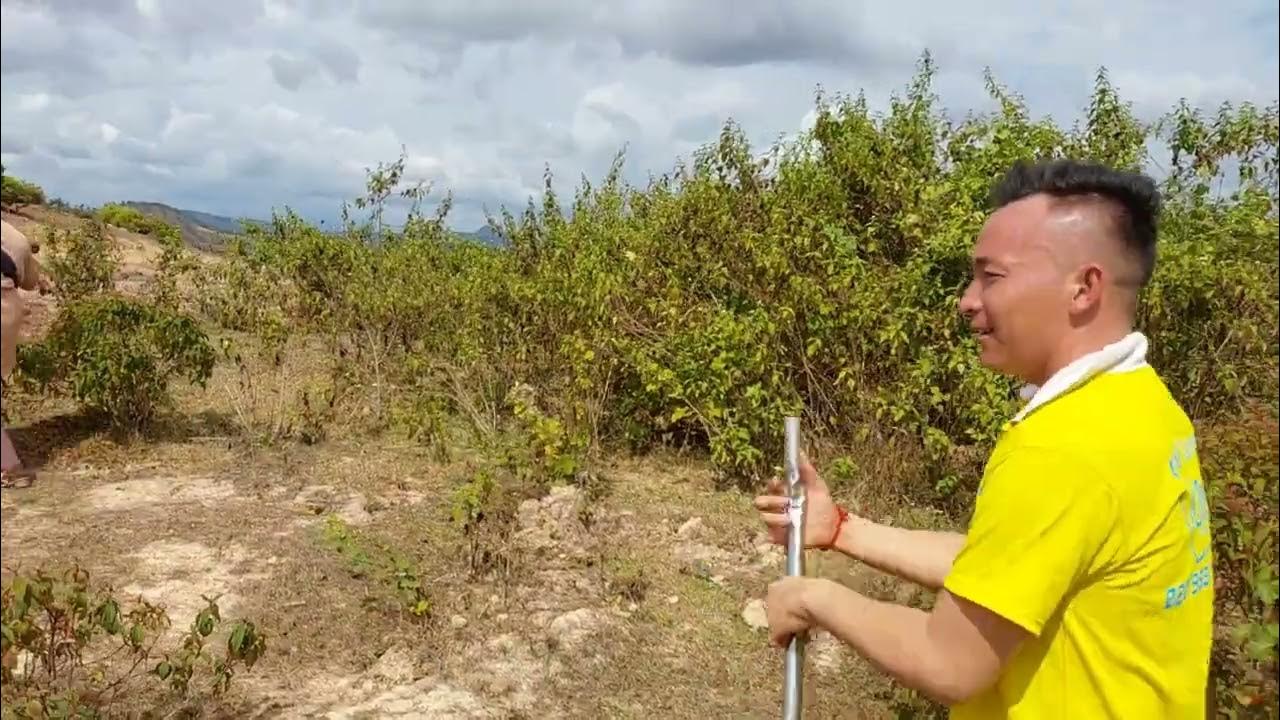 hnub no peb mu thaij pah huam nawb Niam vam khwb npawg lem - YouTube