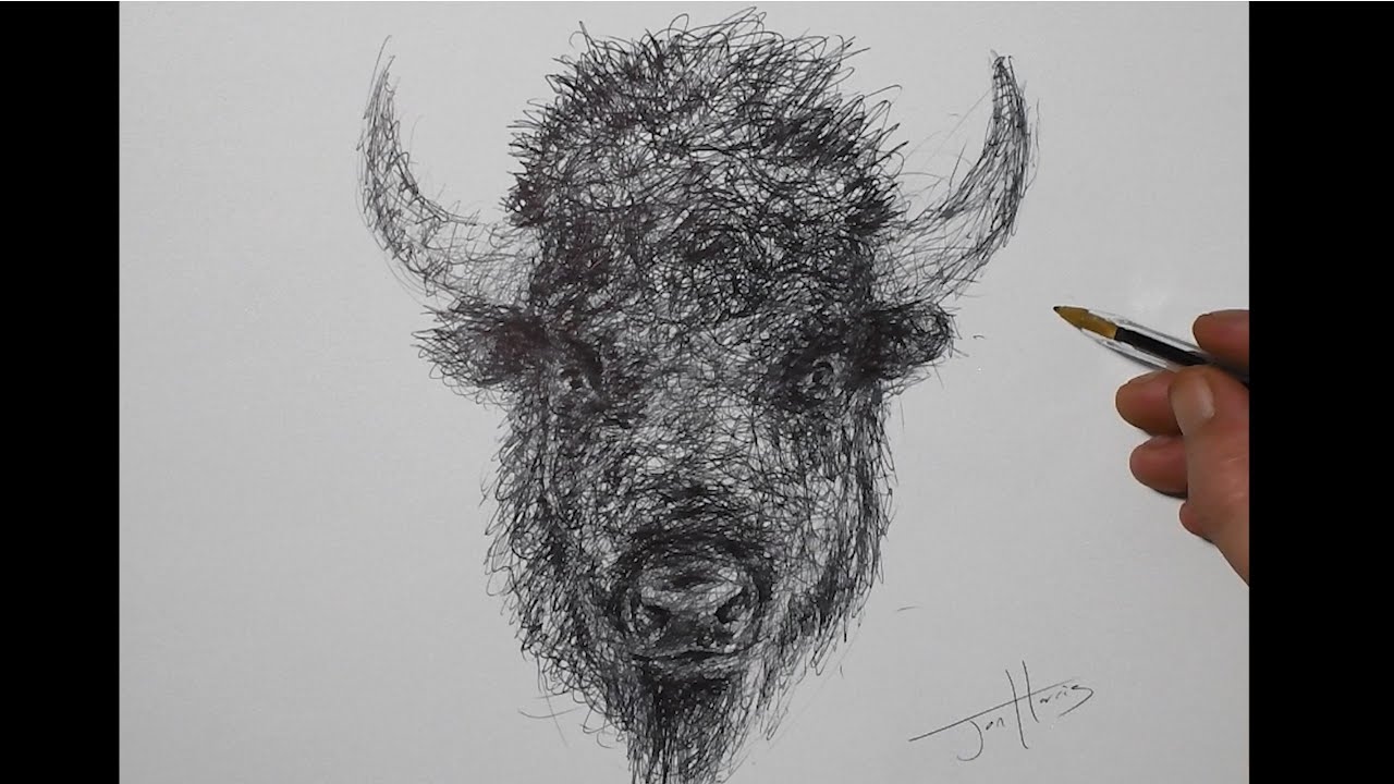 How to Draw a Bison Portrait | Amazing Drawing Style / MUST WATCH - YouTube
