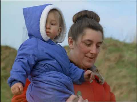 Look at Life Vol 01 Transport Scrambling For It 1967 - YouTube