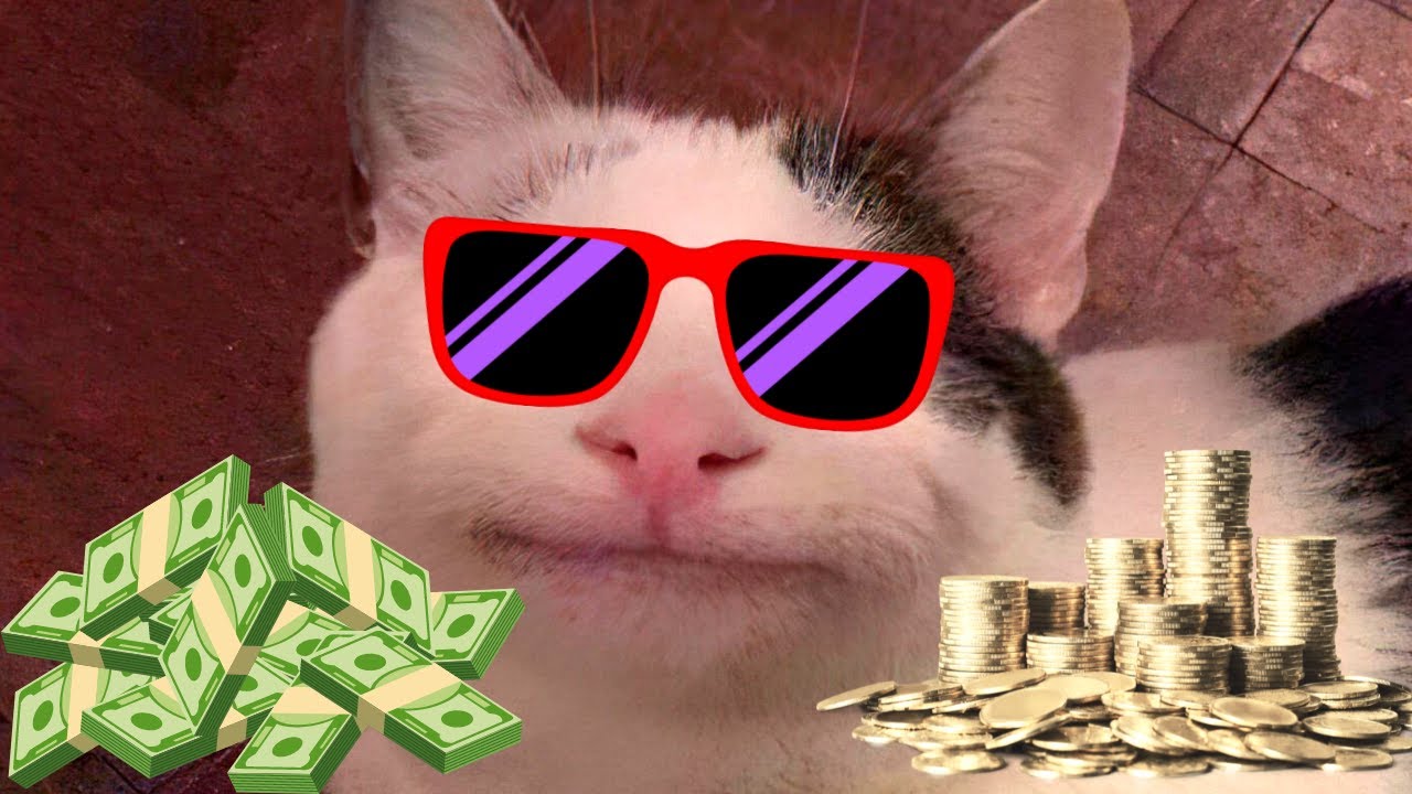 When Beluga Becomes a Genius Trader...😎 - YouTube