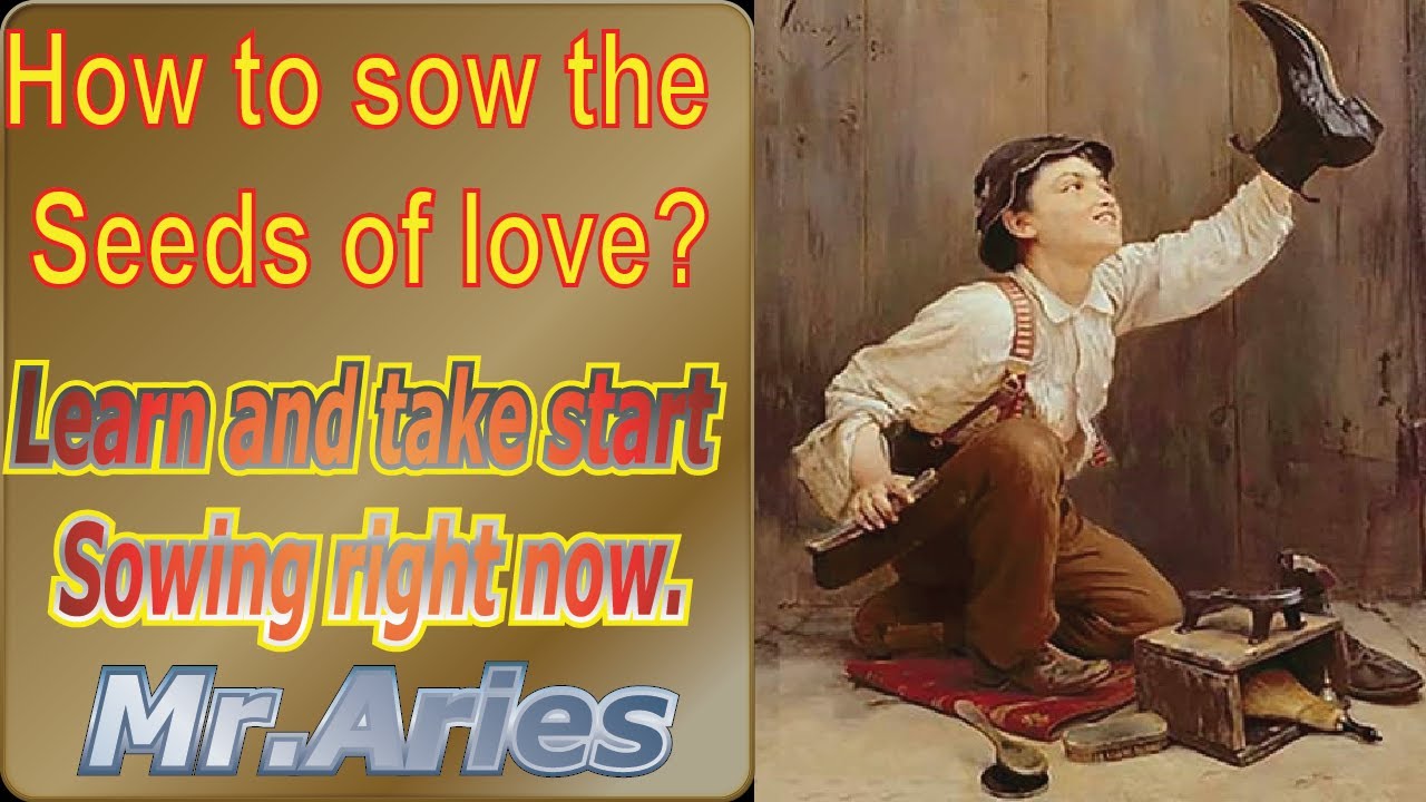 How to sow the Seeds of Love?. Learn and take start Sowing right now ...