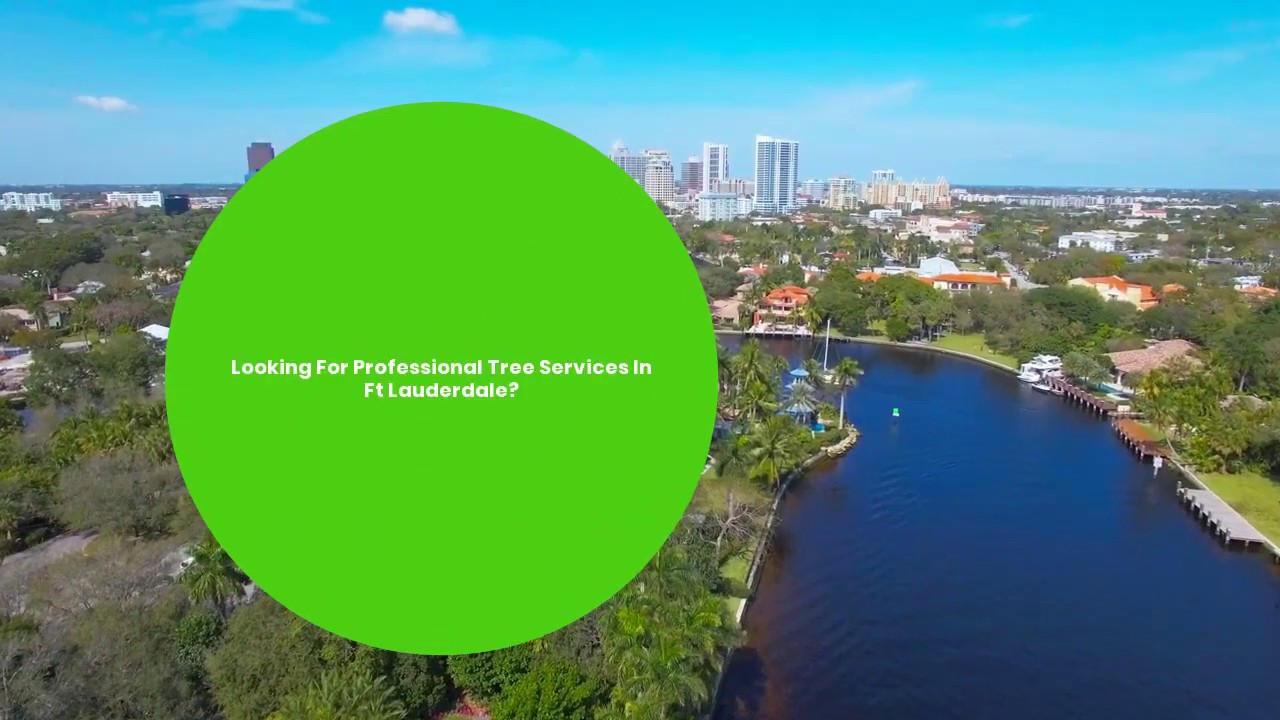 Ft Lauderdale Tree Service And Arborists YouTube Ft Lauderdale Tree Service And Arborists YouTube