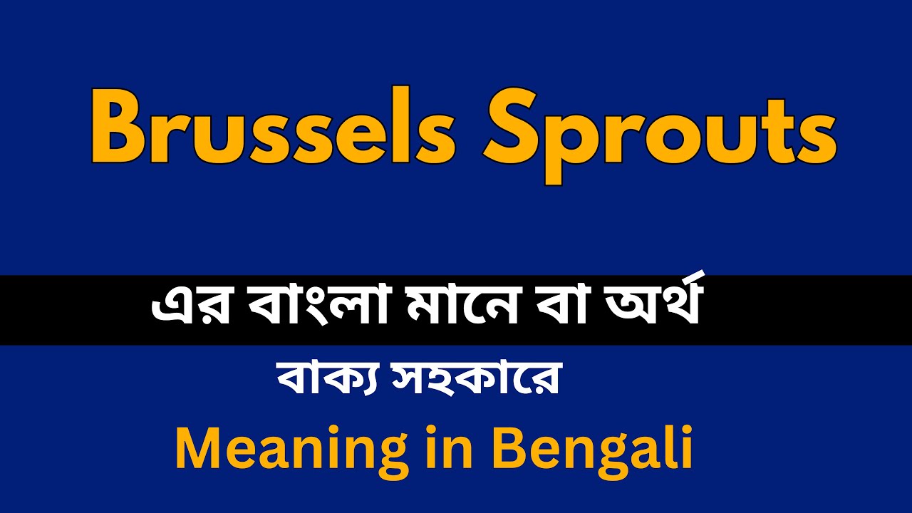 Brussels Sprouts Meaning in Bengali /Brussels Sprouts শব্দের বাংলা ...