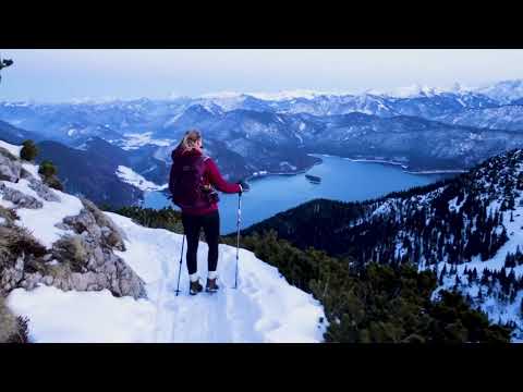 TrailBuddy Trekking Poles - Adjustable Hiking Poles for Snowshoe & Backpacking Gear