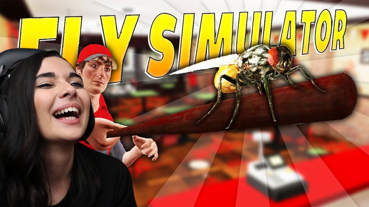 Mouche simulator - YouTube