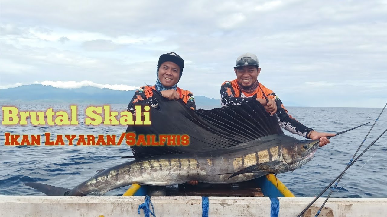 Strike Ikan Layaran/sailfhis - YouTube