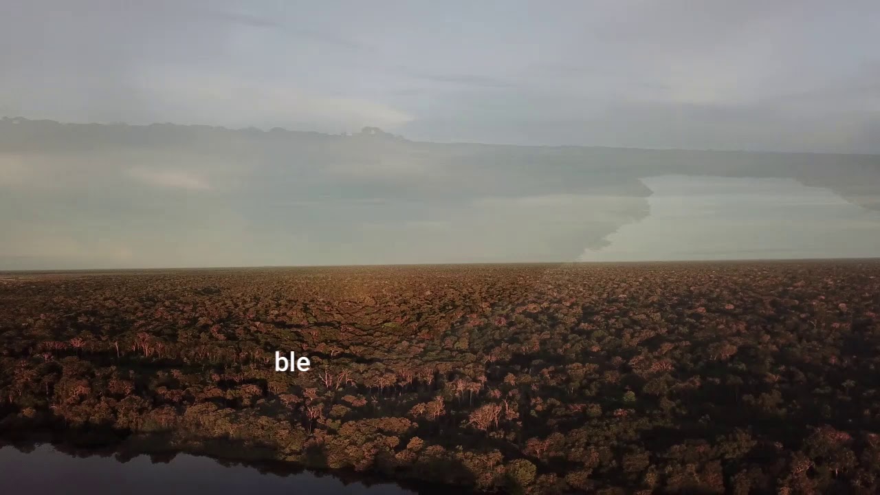 Drone flight deep in the Amazon rainforest - YouTube