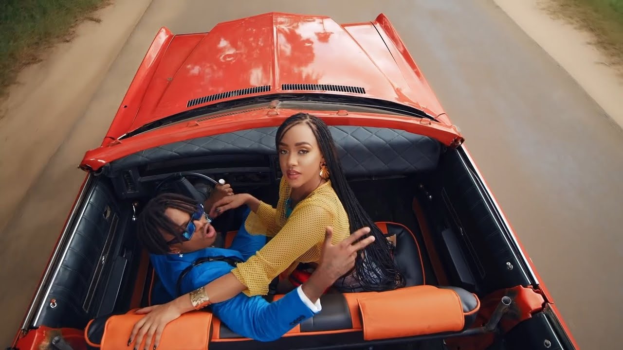 Tanasha Donna Ft Diamond Platnumz (GERE) Live Performance - YouTube