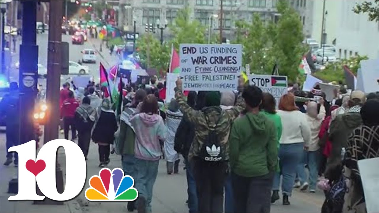 Pro-Palestine rally clash in downtown Nashville - YouTube