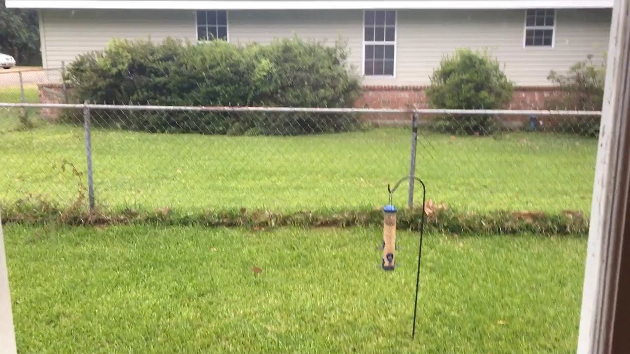 Here we go patty - YouTube