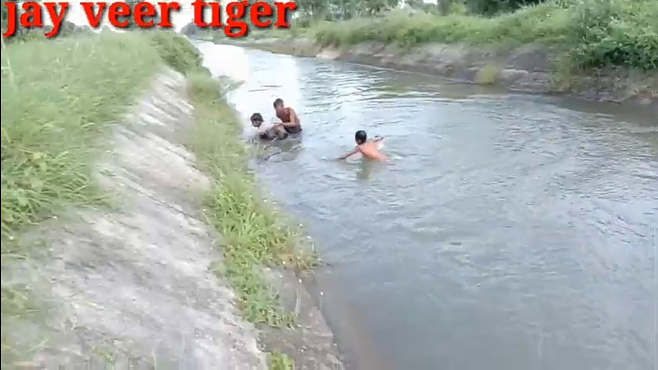 મગન કેનાલમાં ડૂબ્યો // Jay veer tiger - YouTube