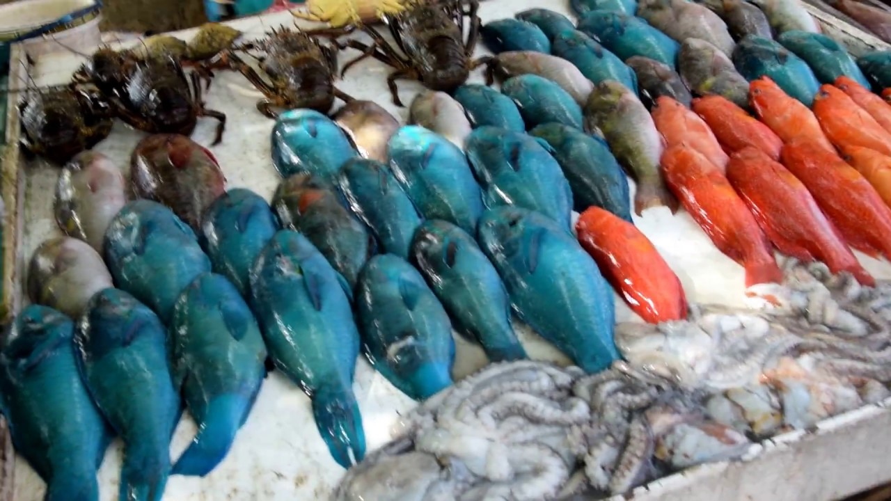 Beach of Grand Baie Mauritius 1.2.2017 Fish market - YouTube