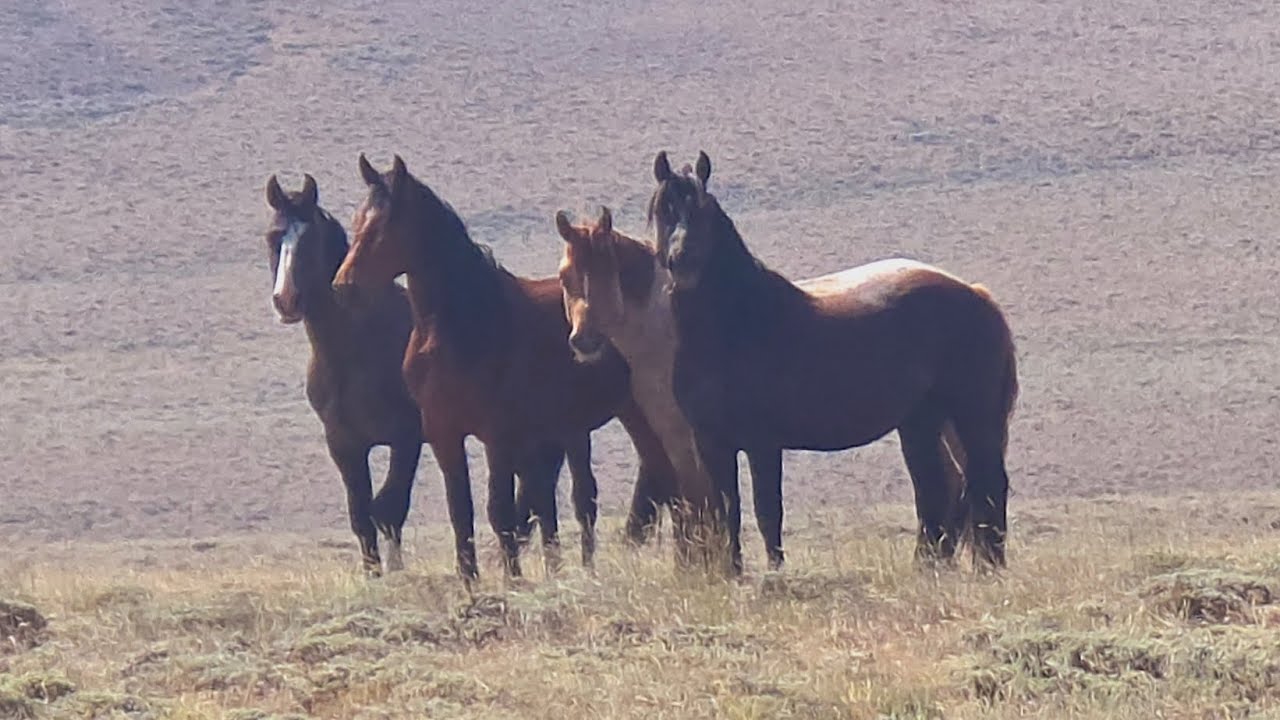 CDT 2024 CHAPTER 23: Wyoming flat lands - YouTube