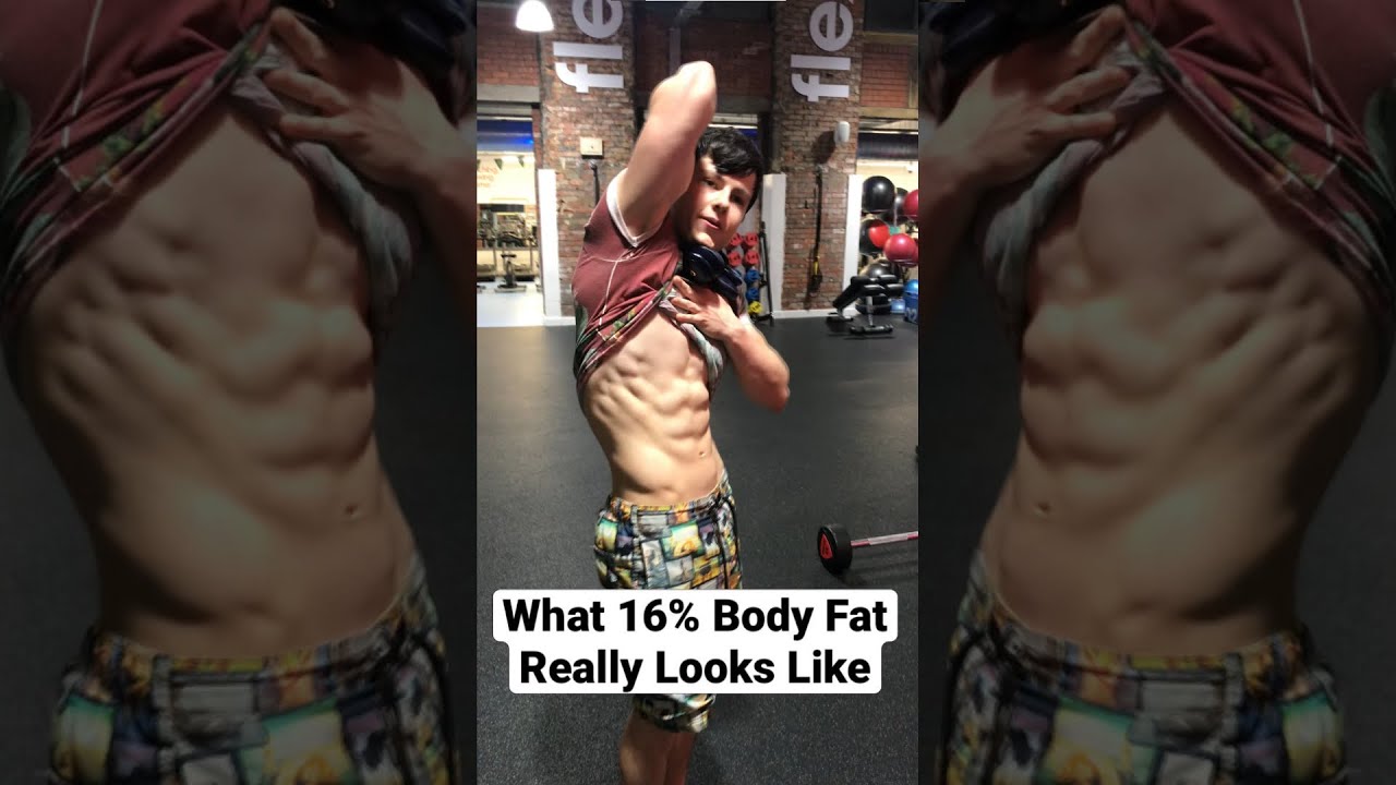 What 16% Body Fat Really Looks Like 👀 - YouTube