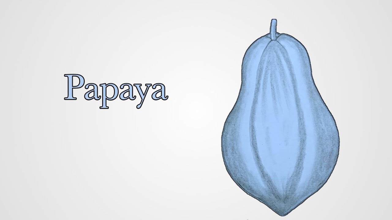 How To Draw Papaya Pencil Sketch Step By Step (Very Easy) Drawing Video ...